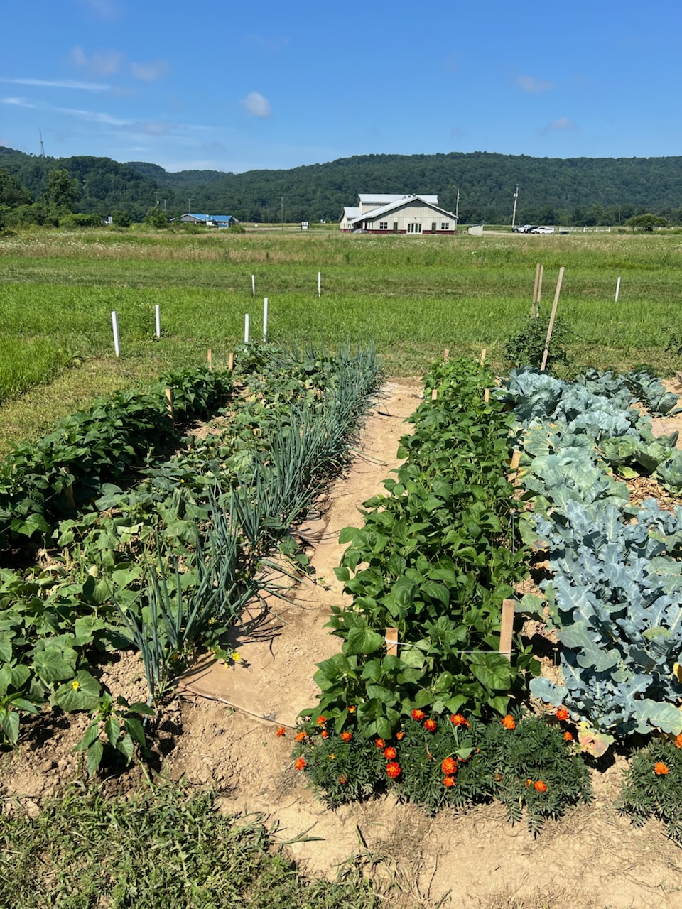 Community garden project gets underway in area | News, Sports, Jobs ...